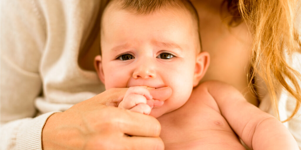 Formación y desarrollo de los dientes en un bebé - Clinica Gómez Pastor